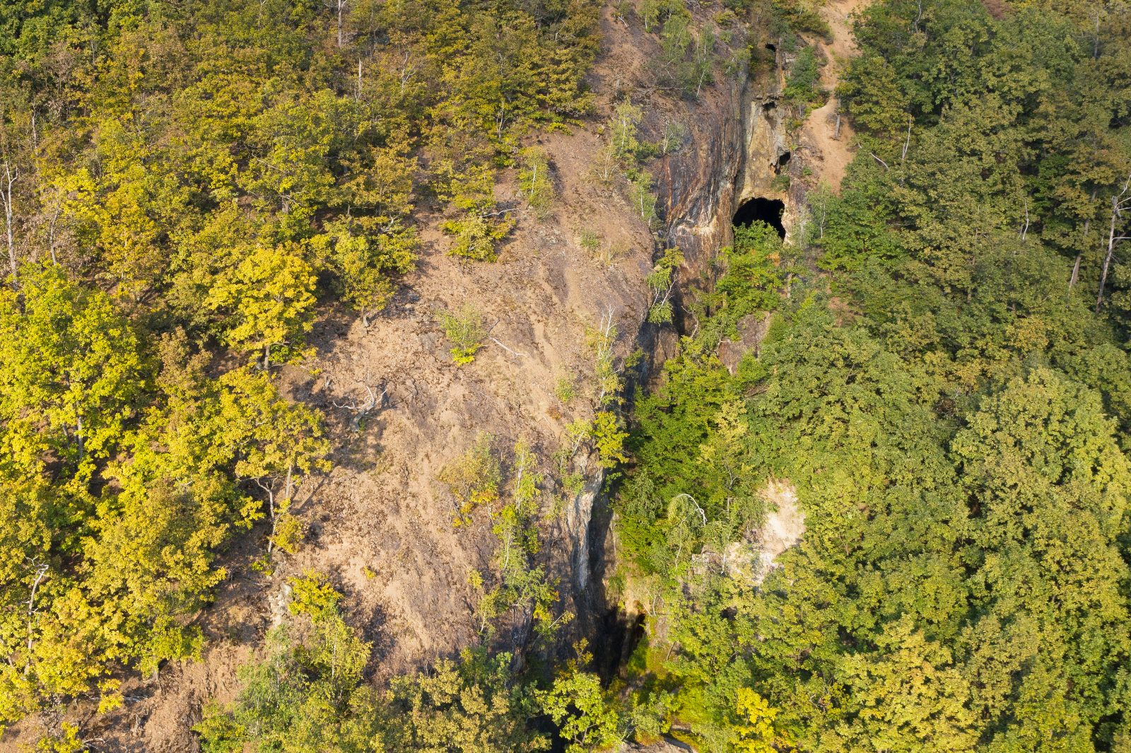 Crăpătura Zorilor - parculminelor